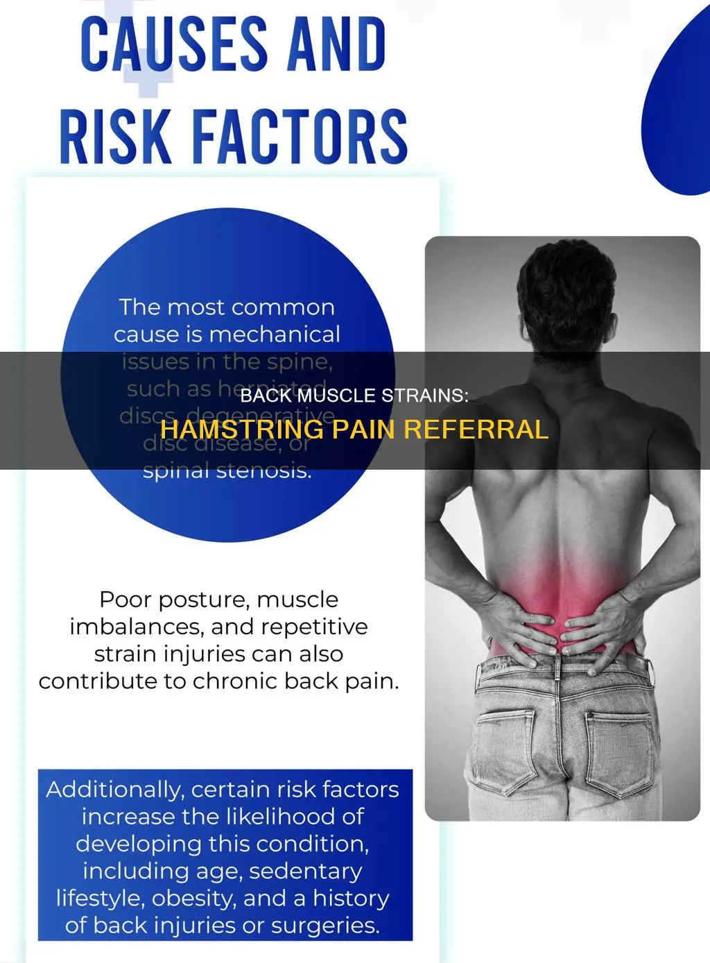 Back Muscle Strains: Hamstring Pain Referral | CyVigor