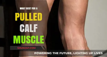 Muscles Responsible For Pulling Shoulders Forward: Anatomy Explained ...