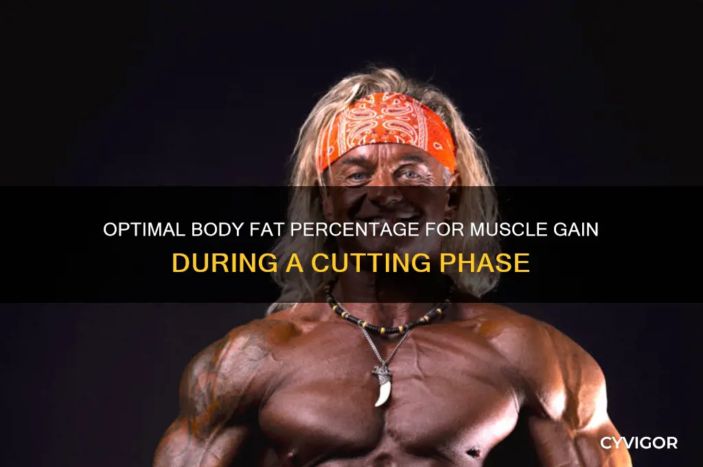 Optimal Body Fat Percentage For Muscle Gain During A Cutting Phase ...
