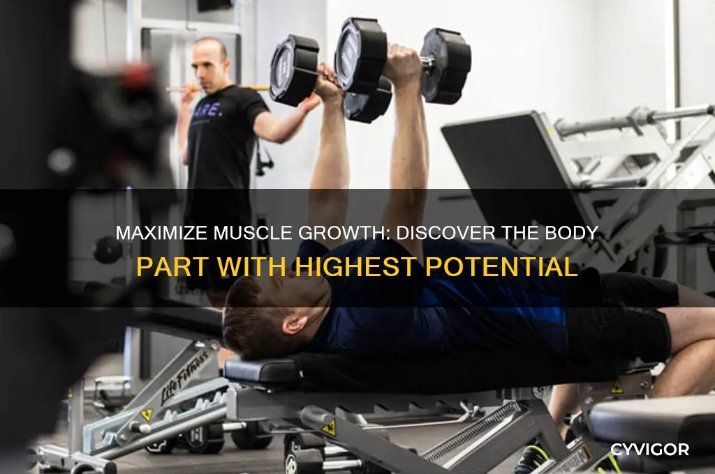 Maximize Muscle Growth: Discover The Body Part With Highest Potential ...