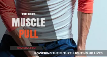 Pulled Oblique Muscle: Recognizing Symptoms And Seeking Relief | CyVigor