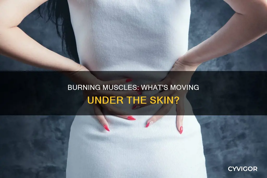 Burning Muscles: What's Moving Under The Skin? | CyVigor