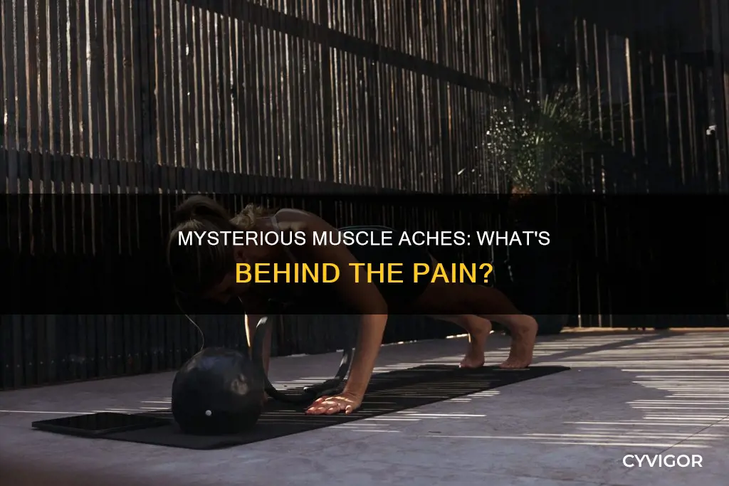 Mysterious Muscle Aches: What's Behind The Pain? | CyVigor