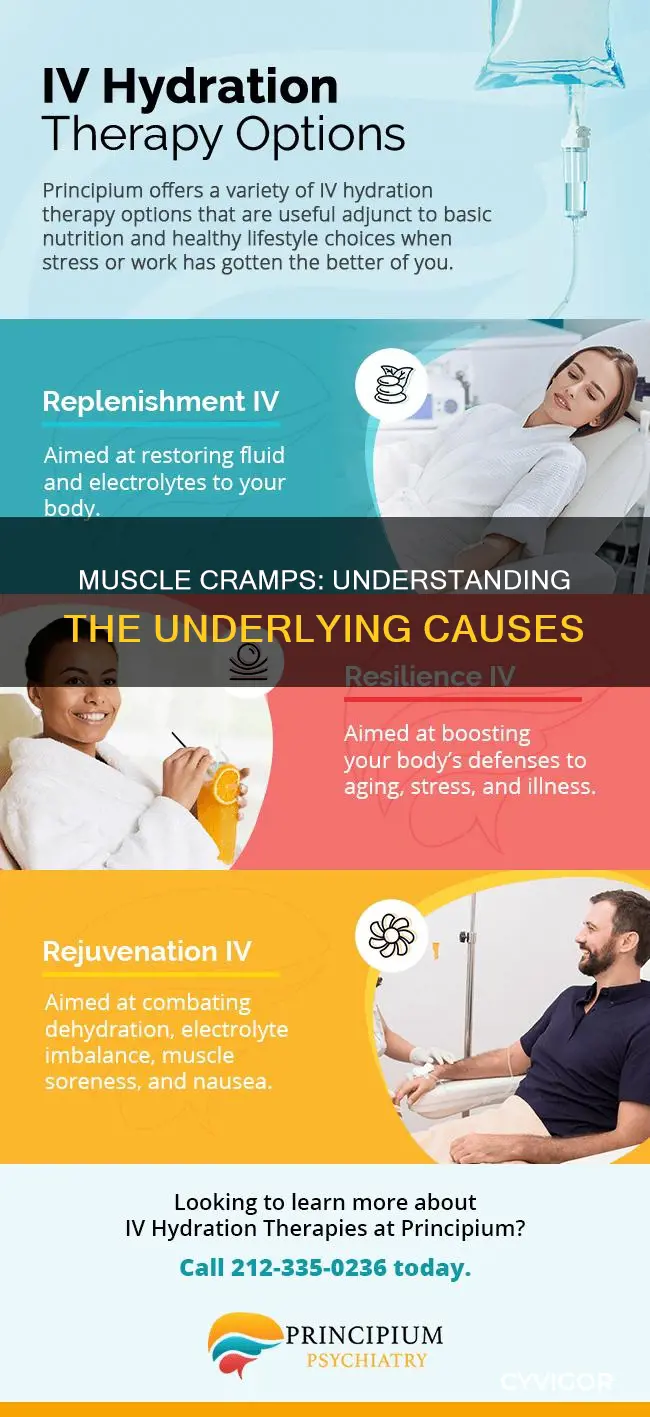 Muscle Cramps: Understanding The Underlying Causes | CyVigor