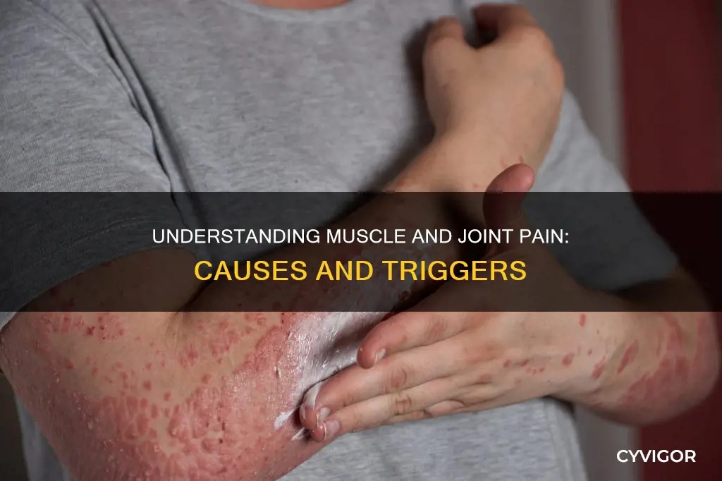 Understanding Muscle And Joint Pain: Causes And Triggers | CyVigor