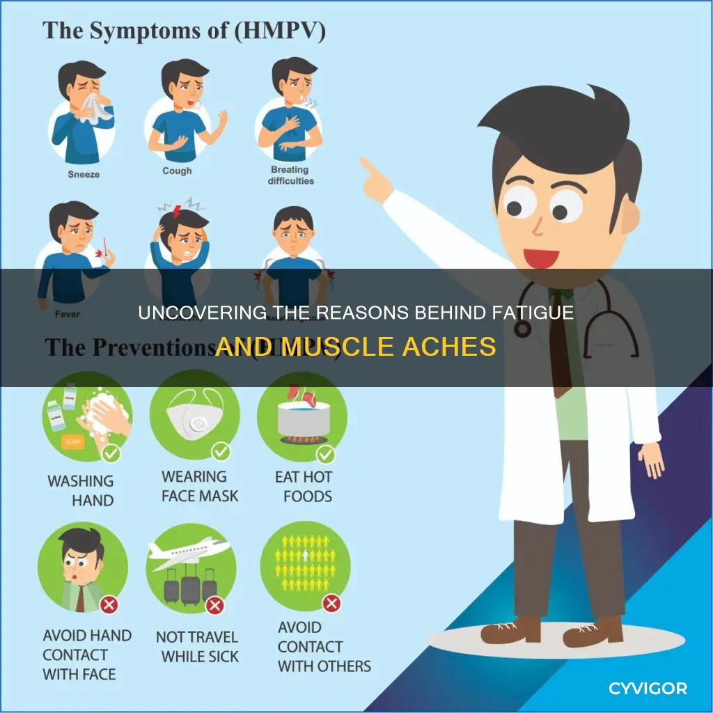 Uncovering The Reasons Behind Fatigue And Muscle Aches | CyVigor