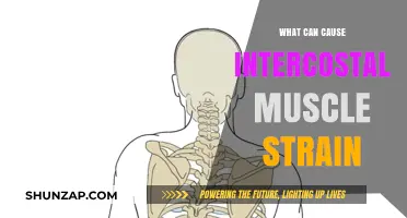 Smooth Muscle Antibodies: Understanding High Ab Titer Causes | CyVigor