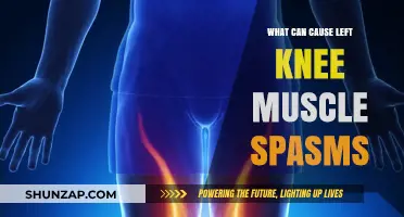 Understanding Leg Muscle Atrophy: Causes And Mechanisms | CyVigor
