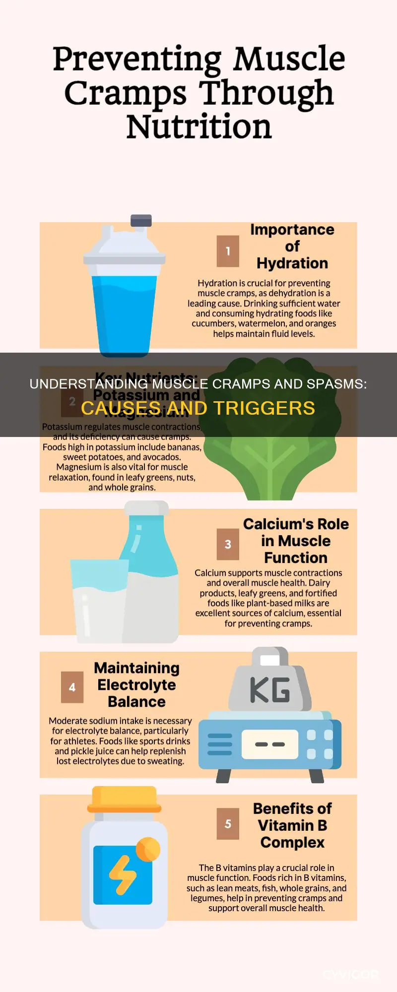Understanding Muscle Cramps And Spasms: Causes And Triggers | CyVigor