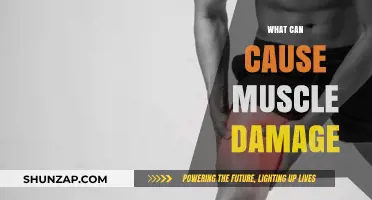 Understanding Leg Muscle Atrophy: Causes And Mechanisms | CyVigor