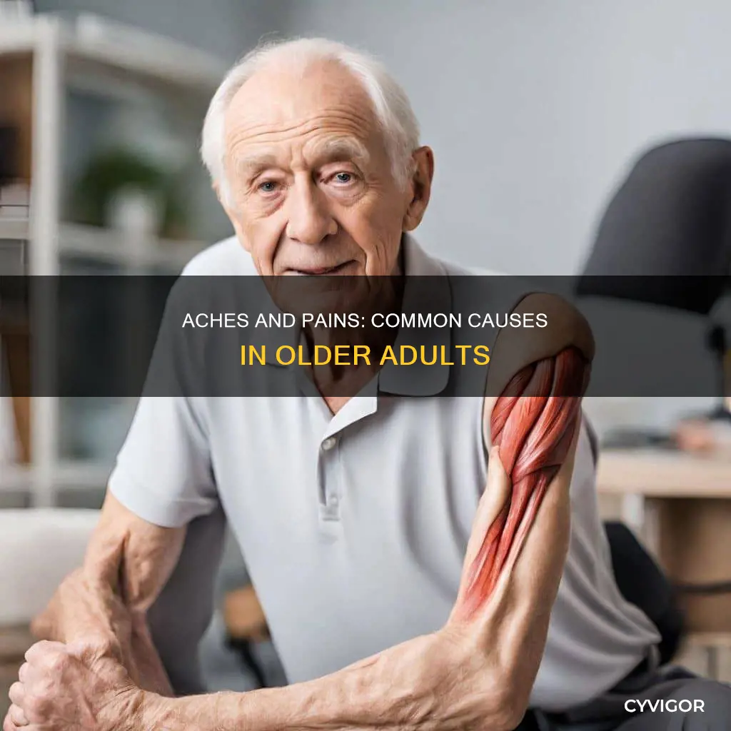 Aches And Pains: Common Causes In Older Adults | CyVigor