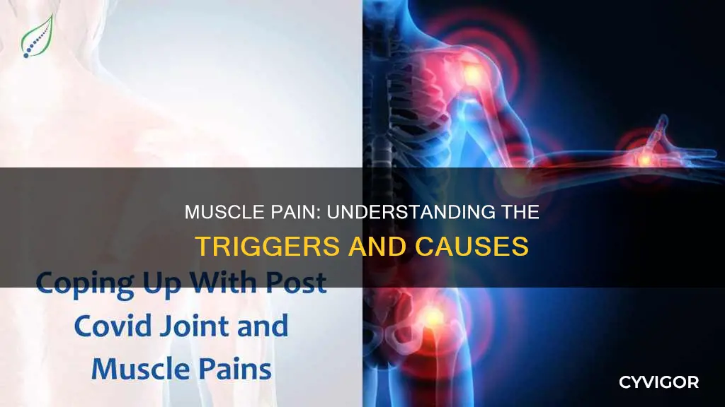 Muscle Pain: Understanding The Triggers And Causes | CyVigor