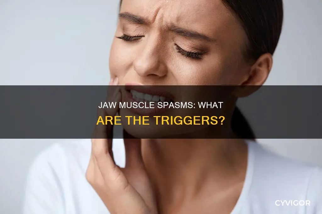 Jaw Muscle Spasms: What Are The Triggers? | CyVigor
