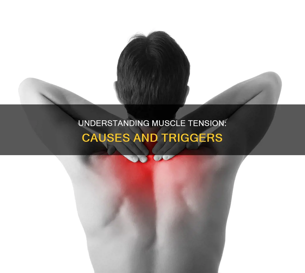 Understanding Muscle Tension: Causes And Triggers | CyVigor