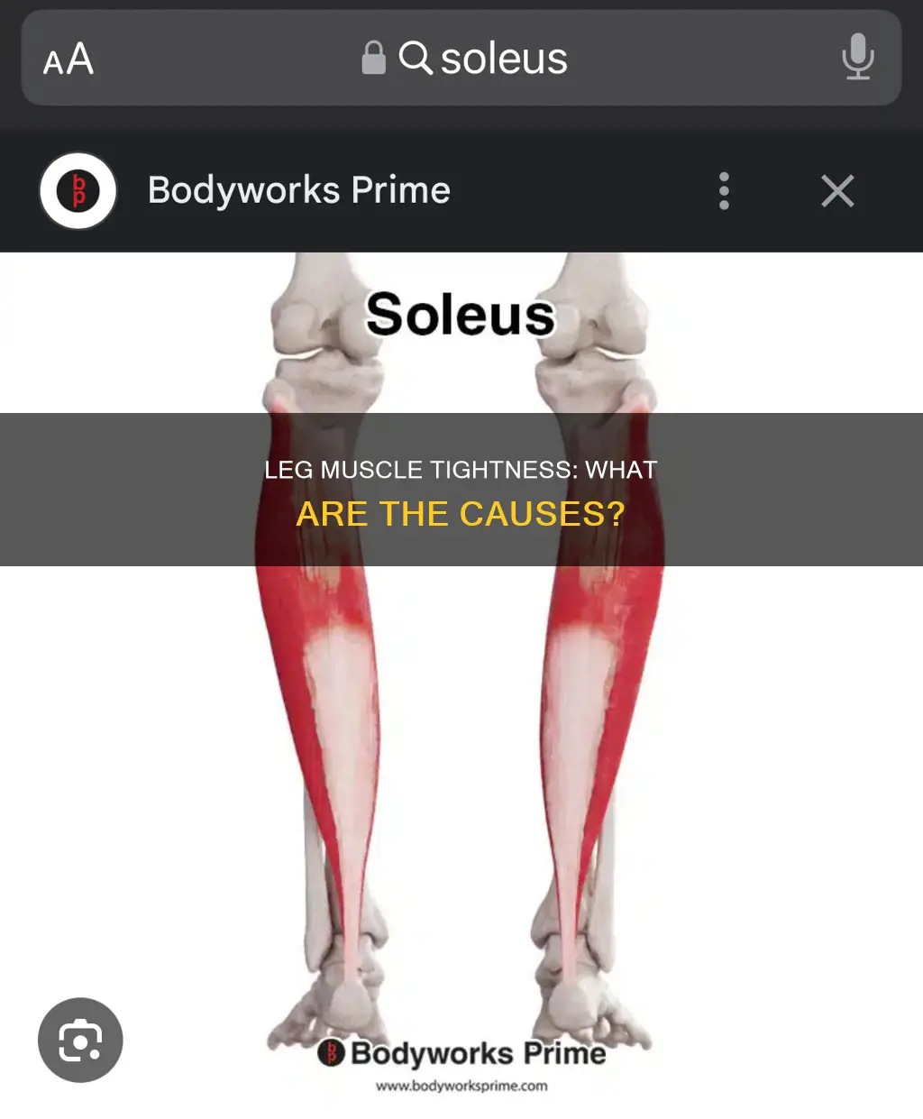 Leg Muscle Tightness: What Are The Causes? | CyVigor