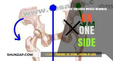 Understanding Oxygen Debt: Causes In Muscle During Intense Physical ...