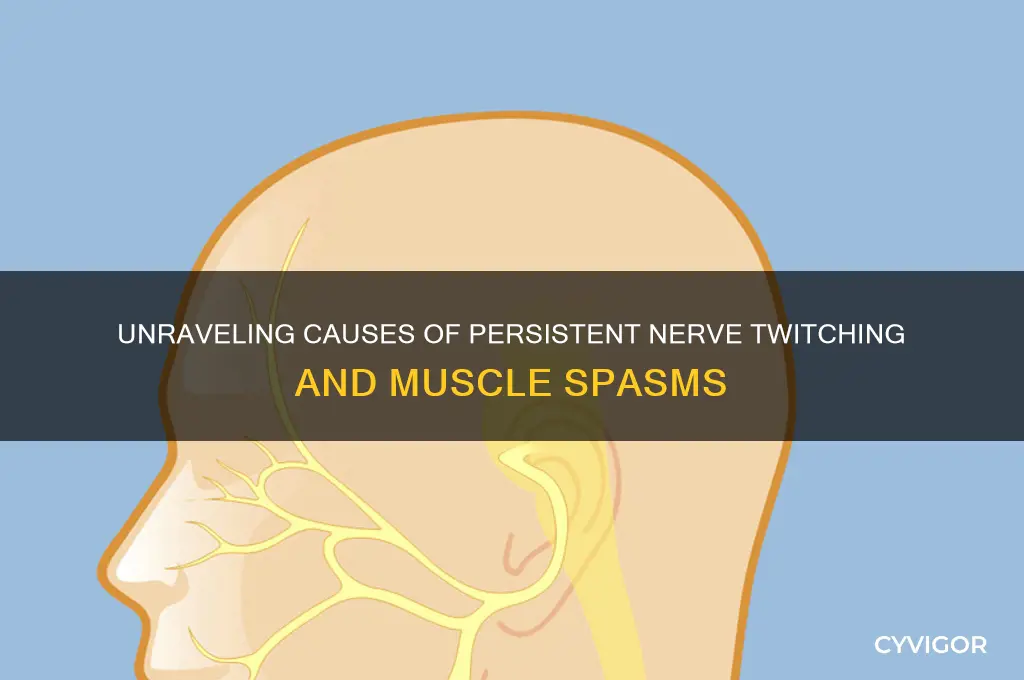 Unraveling Causes Of Persistent Nerve Twitching And Muscle Spasms | CyVigor