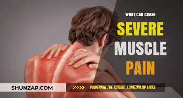 Understanding Severe Right-Side Muscle Spasms: Causes And Triggers ...