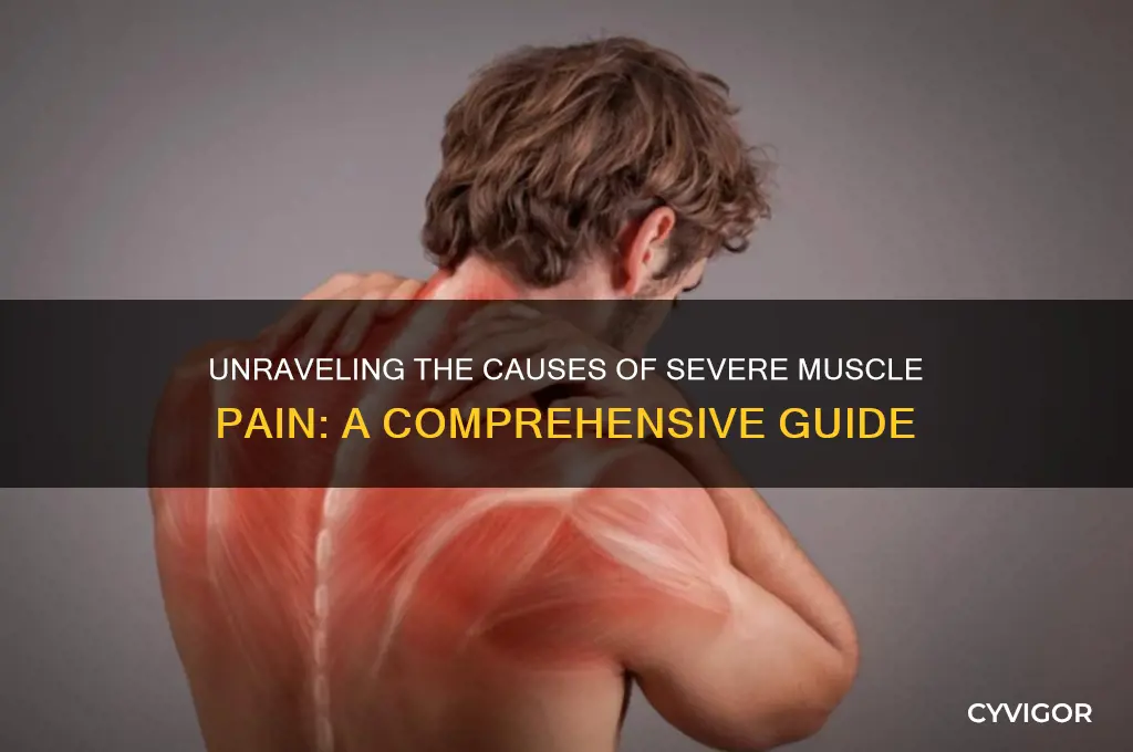 Unraveling The Causes Of Severe Muscle Pain: A Comprehensive Guide ...
