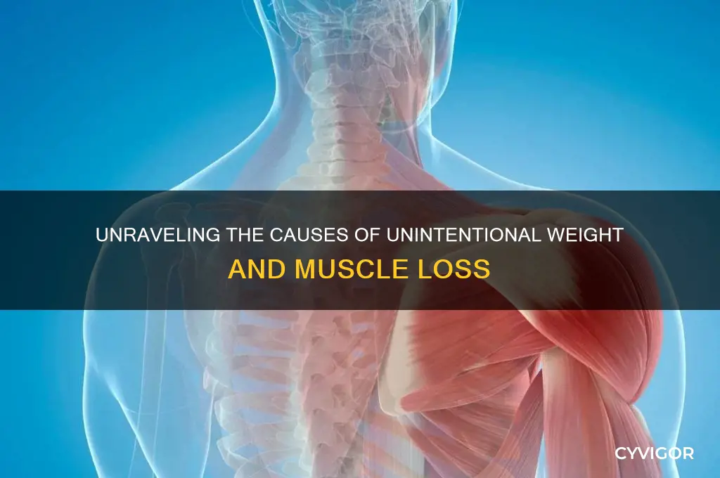 Unraveling The Causes Of Unintentional Weight And Muscle Loss | CyVigor