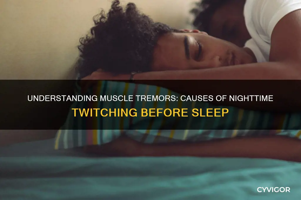 Understanding Muscle Tremors: Causes Of Nighttime Twitching Before ...