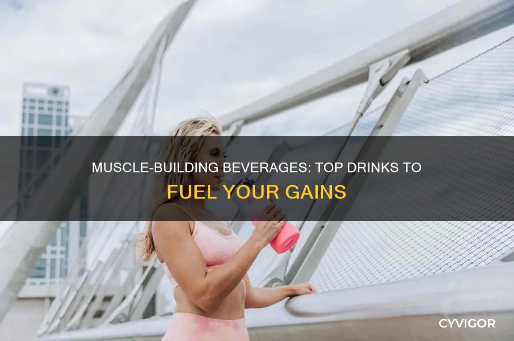 Muscle-Building Beverages: Top Drinks To Fuel Your Gains | CyVigor