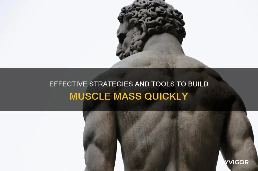 Effective Strategies And Tools To Build Muscle Mass Quickly | CyVigor