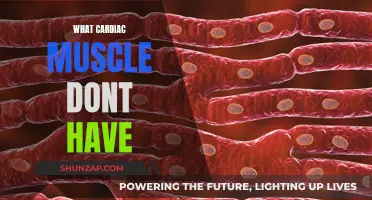 How Impulses Reach Muscles And Make Us Move | CyVigor