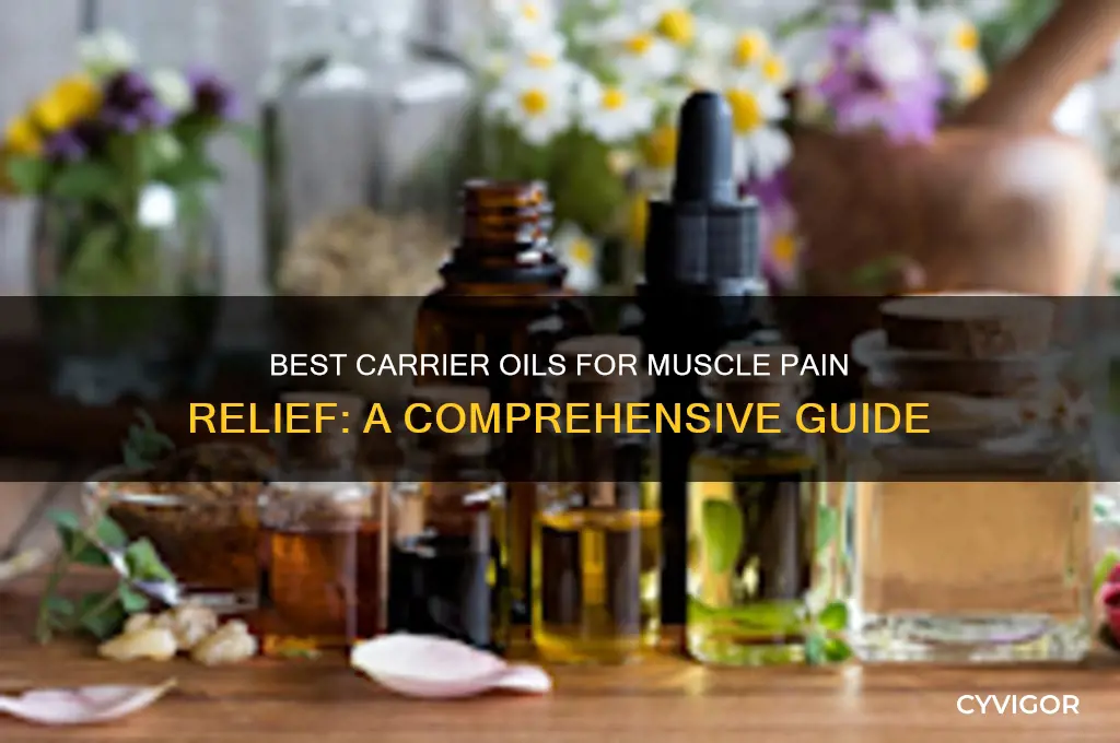 Best Carrier Oils For Muscle Pain Relief: A Comprehensive Guide | CyVigor