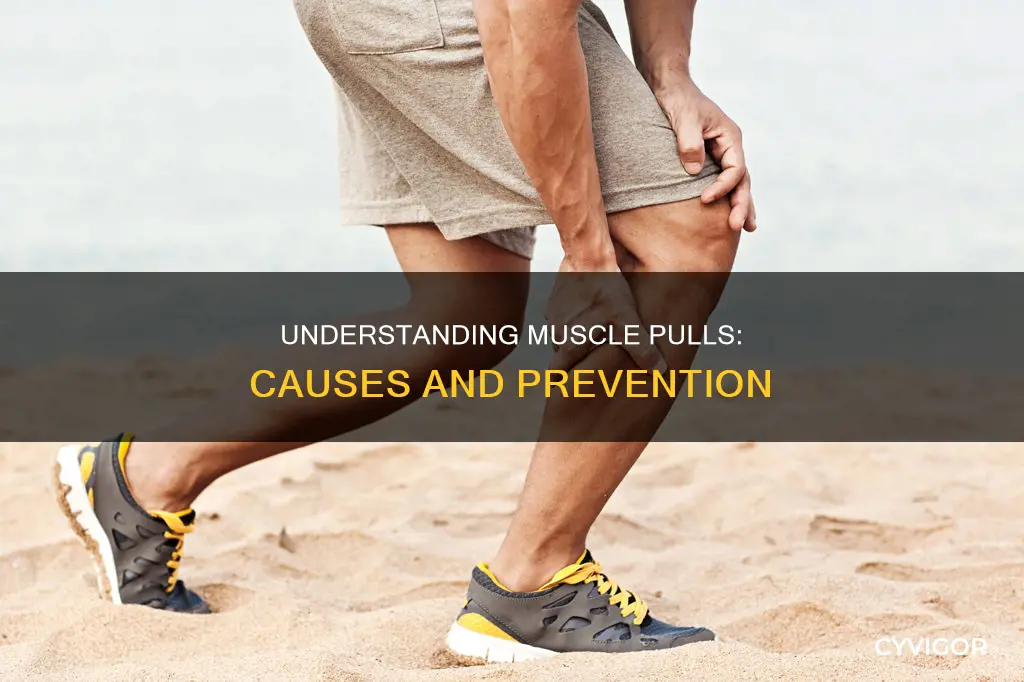 Understanding Muscle Pulls: Causes And Prevention | CyVigor
