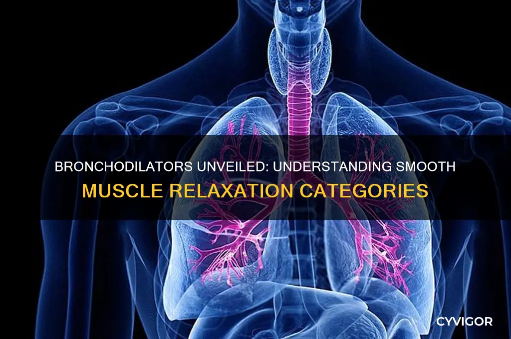 Bronchodilators Unveiled: Understanding Smooth Muscle Relaxation ...