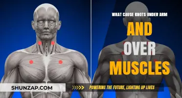 Unraveling Muscle Fatigue: Causes During High-Intensity Workouts ...
