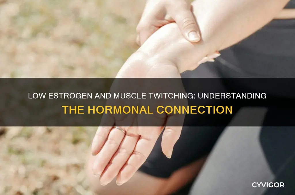 Low Estrogen And Muscle Twitching: Understanding The Hormonal ...