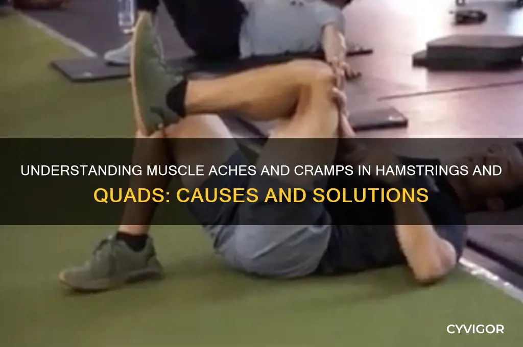 Understanding Muscle Aches And Cramps In Hamstrings And Quads: Causes ...