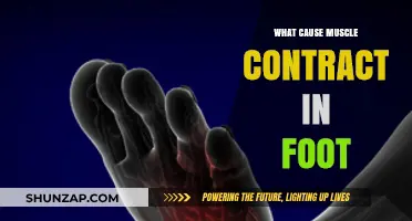 Understanding Muscle Fatigue: Causes During Exercise And Recovery Tips ...
