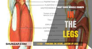 Understanding Leg Muscle Spasms: Common Causes And Prevention Tips ...