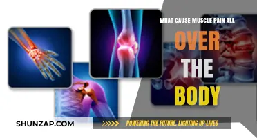 Understanding Shoulder Muscle Twitching: Causes And Remedies Explained ...