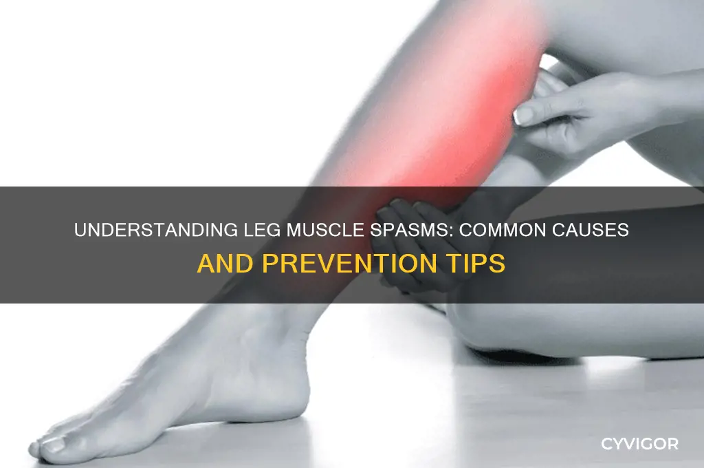Understanding Leg Muscle Spasms: Common Causes And Prevention Tips ...