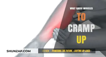 Understanding Leg Muscle Spasms: Common Causes And Prevention Tips ...