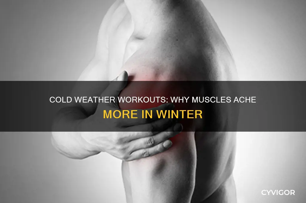 Cold Weather Workouts: Why Muscles Ache More In Winter | CyVigor