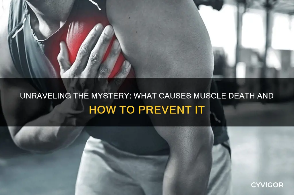 Unraveling The Mystery: What Causes Muscle Death And How To Prevent It ...