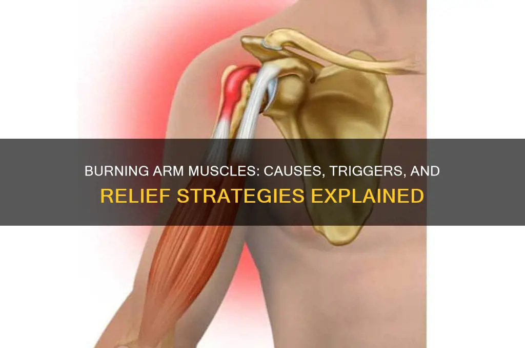 Burning Arm Muscles: Causes, Triggers, And Relief Strategies Explained ...