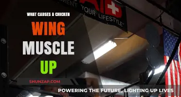 Understanding Muscle Lumps: Causes, Symptoms, And When To Seek Help ...