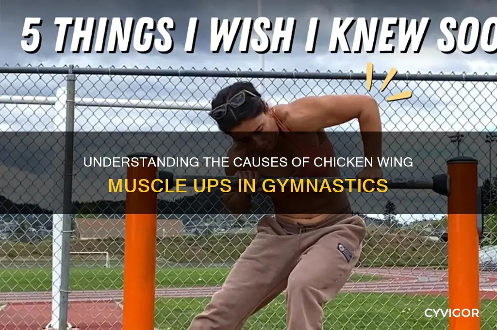 Understanding The Causes Of Chicken Wing Muscle Ups In Gymnastics | CyVigor