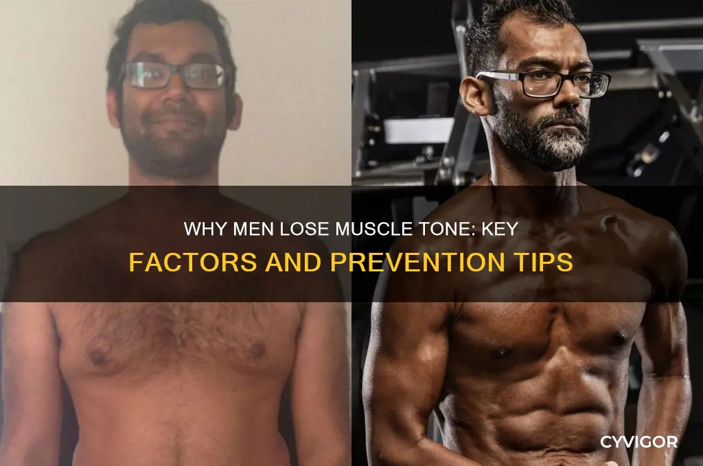 Why Men Lose Muscle Tone: Key Factors And Prevention Tips | CyVigor