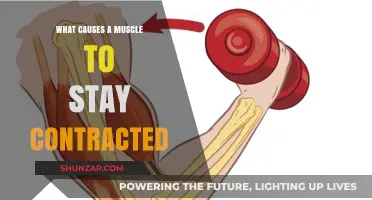 Understanding Muscle Pops: Causes, Risks, And When To Seek Help | CyVigor