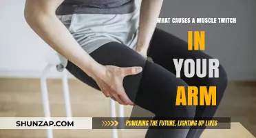 Understanding Muscle Tension: Causes And Triggers Explained | CyVigor