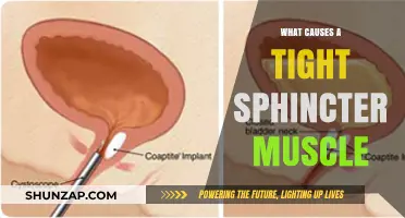 Understanding Torn Quad Muscles: Causes, Risks, And Prevention ...