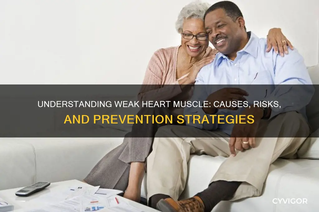 Understanding Weak Heart Muscle: Causes, Risks, And Prevention ...
