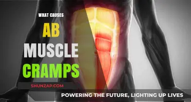Understanding Abdominal Muscle Twitching: Causes And Potential Triggers ...
